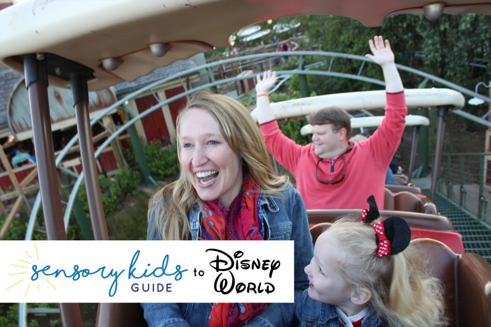 The Barnstormer – Sensory Kids Guide